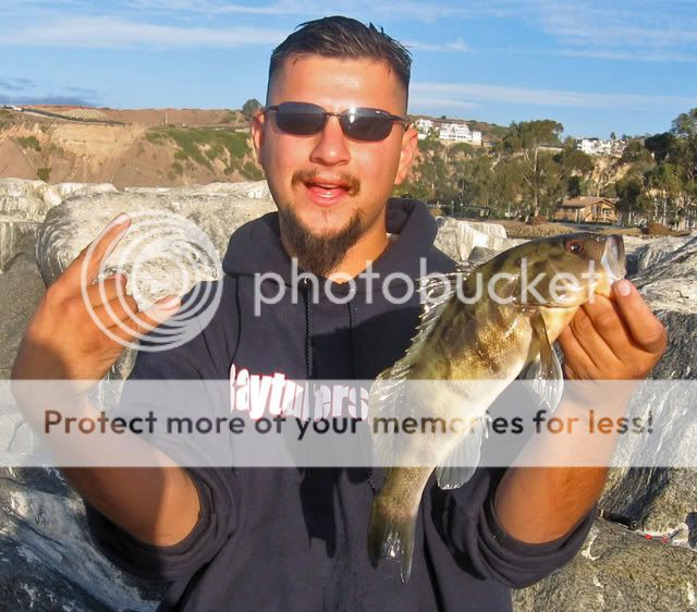 Dana Point Jetty Loking,.. | Bloodydecks