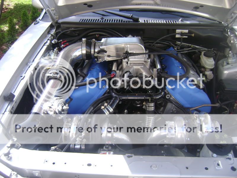 F/S 04 Cobra THP 61mm Twin Turbo Set Up | Mustang and Ford Performance ...