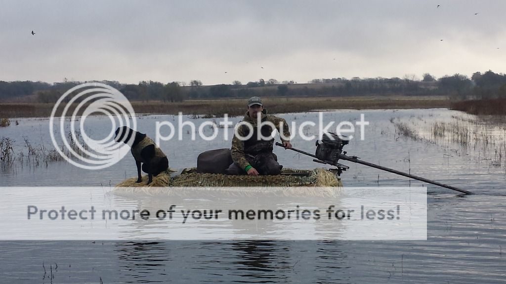 Beavertail final attack propulsion options | Duck Hunting Forum