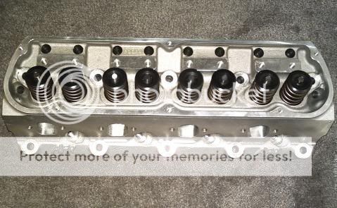 AFR 165 pedestal heads, 60cc | Ford Mustang Forums