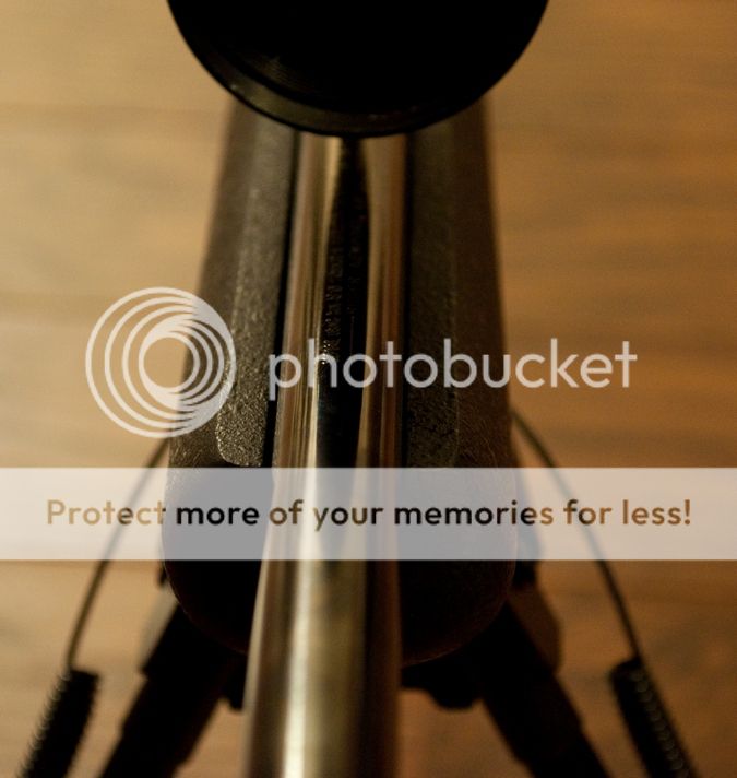 Possible issue with Boyd's stock | Rimfire Central Firearm Forum